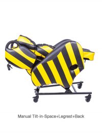 Legacy Infant Peadiatric Care Chair